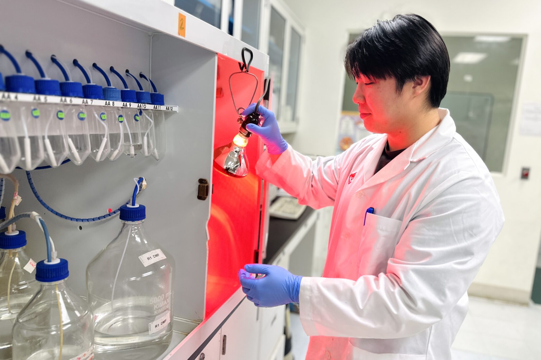 Custom Peptide Synthesis for Research – Phoenix Pharmaceuticals, Inc.